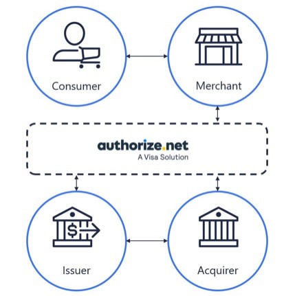 Payment processing: How payment gateways get you paid | Authorize.net